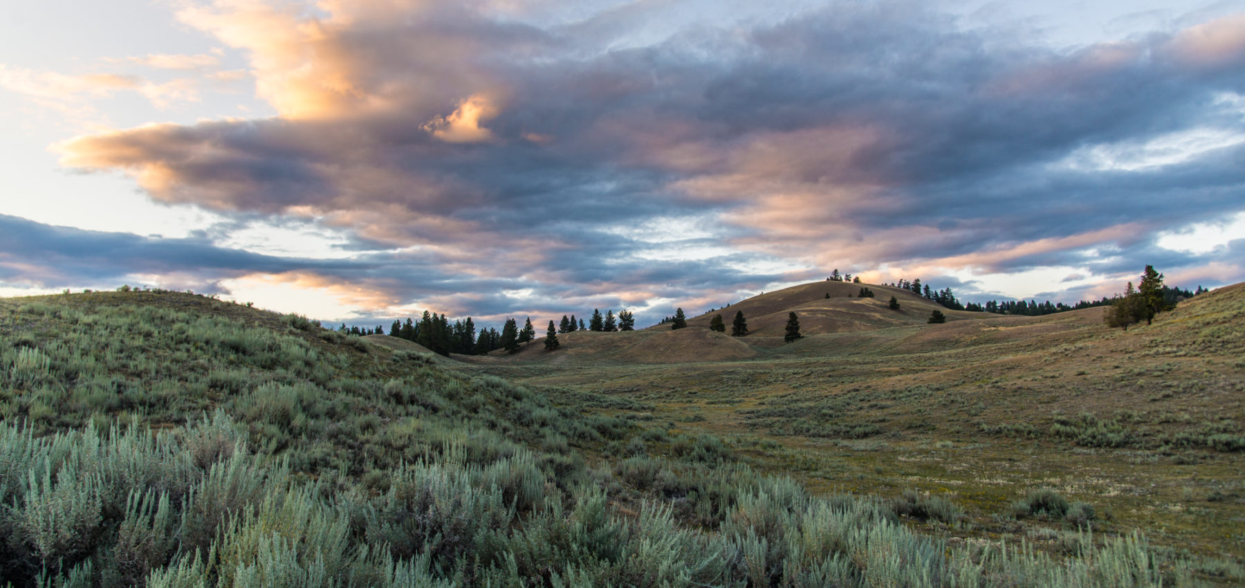 Home - Montana Environmental Information Center - MEIC
