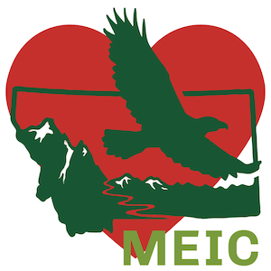 Meic Logo