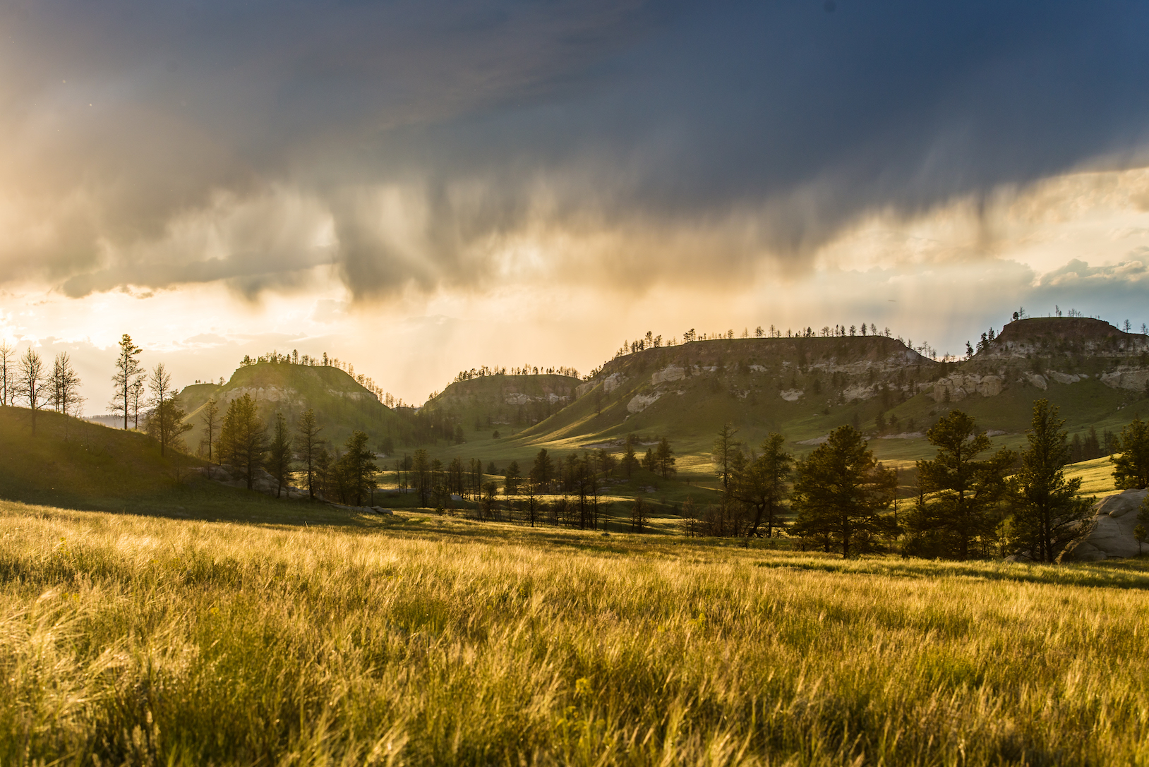 Massive Colstrip Coal Mine Expansion Approval Challenged - Montana ...