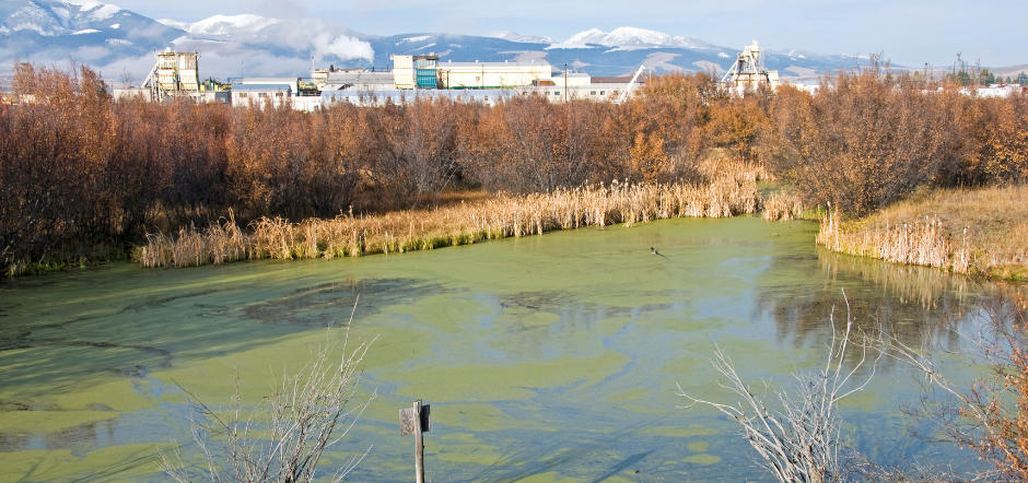 nutrient pollution - Montana Environmental Information Center - MEIC
